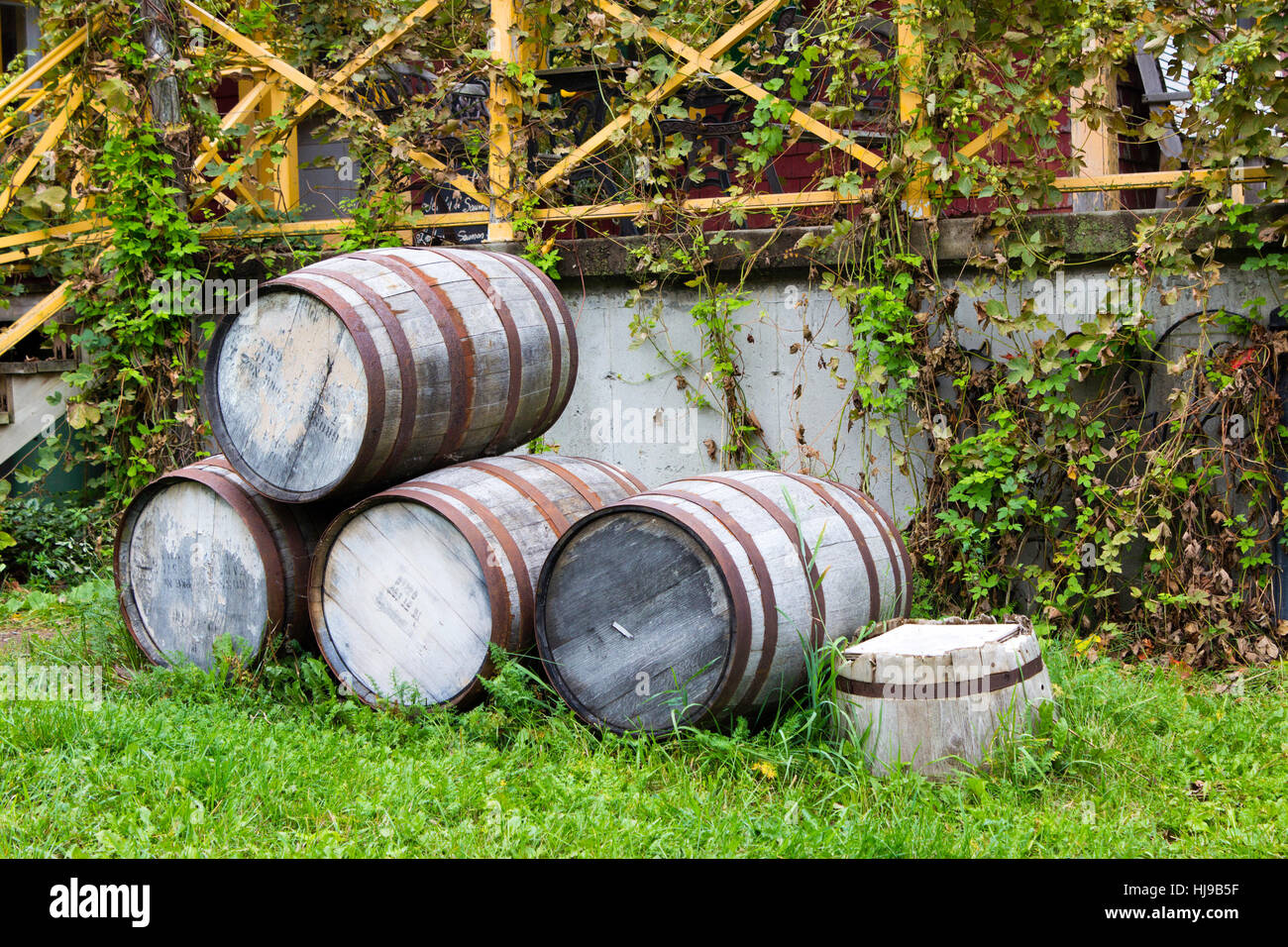 farm, barrel, wood, agriculture, farming, wine, alcohol, harvest ...