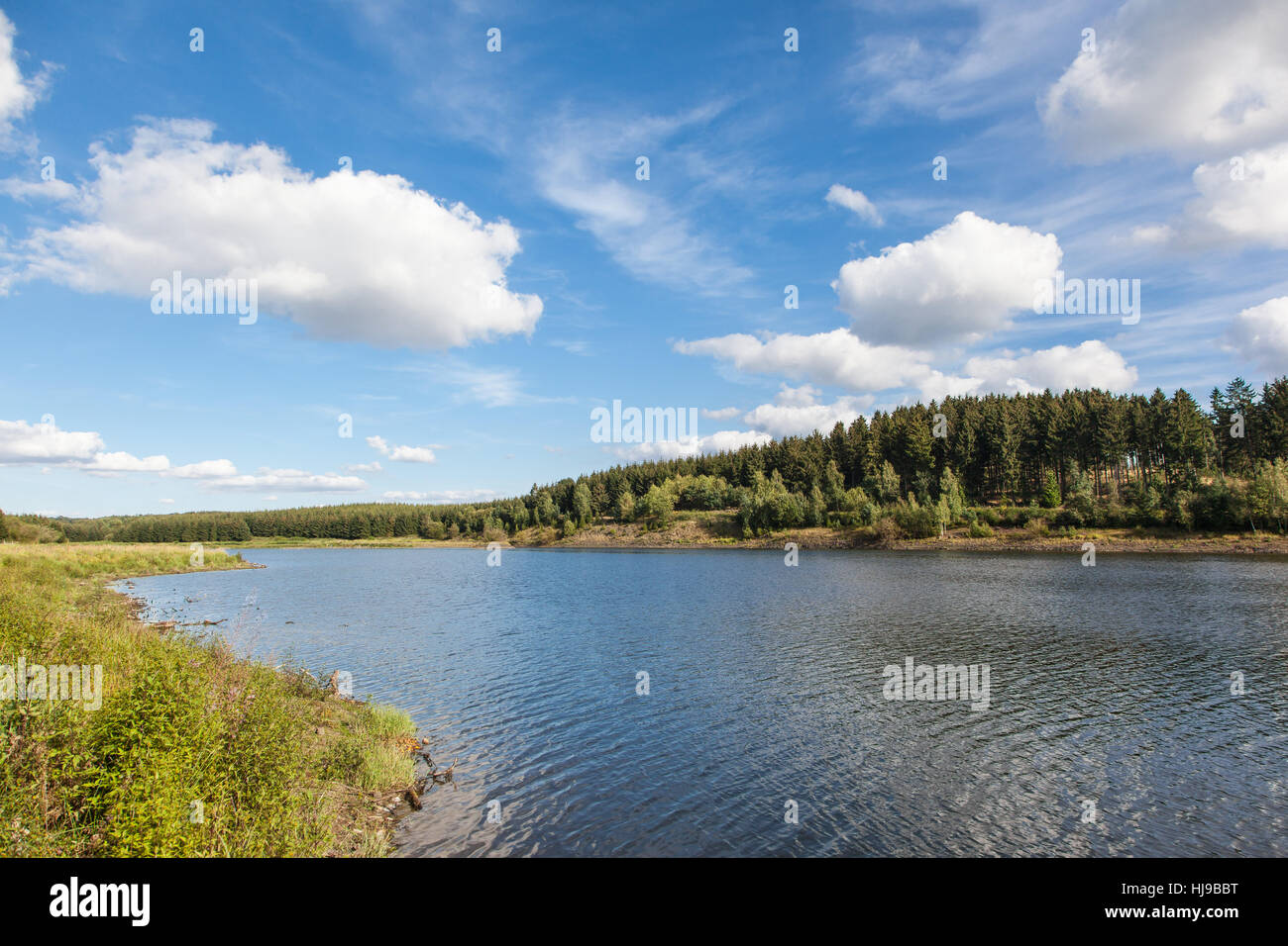 summer, summerly, artificial lake, fresh water, pond, water, salt water ...