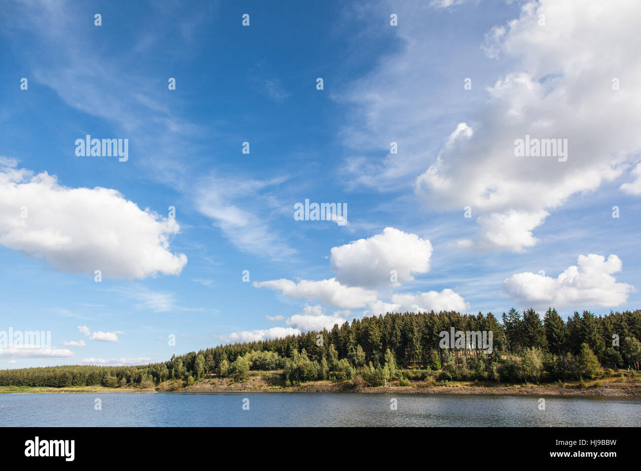 summer, summerly, artificial lake, fresh water, pond, water, salt water ...