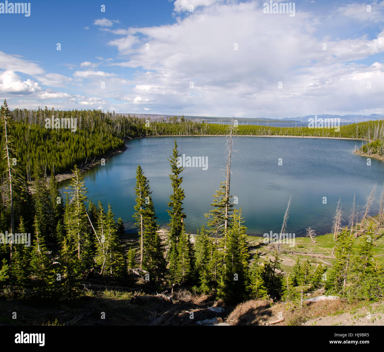 environment, enviroment, summer, summerly, america, fresh water, lake ...