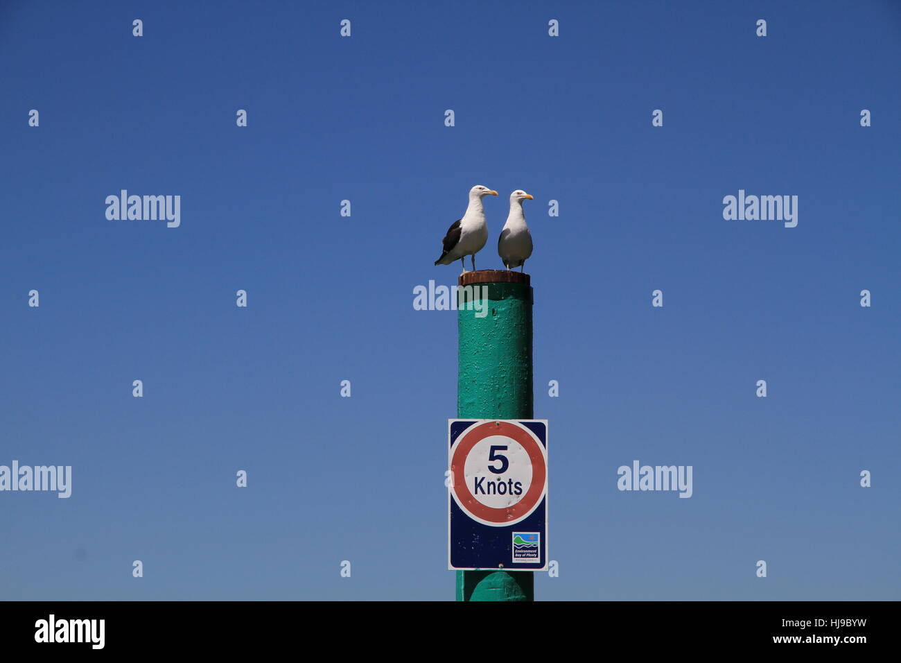 Seagull traffic sign hi-res stock photography and images - Alamy