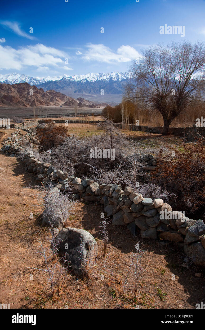 mountains, india, steppe, mountain range, scenery, countryside, nature ...