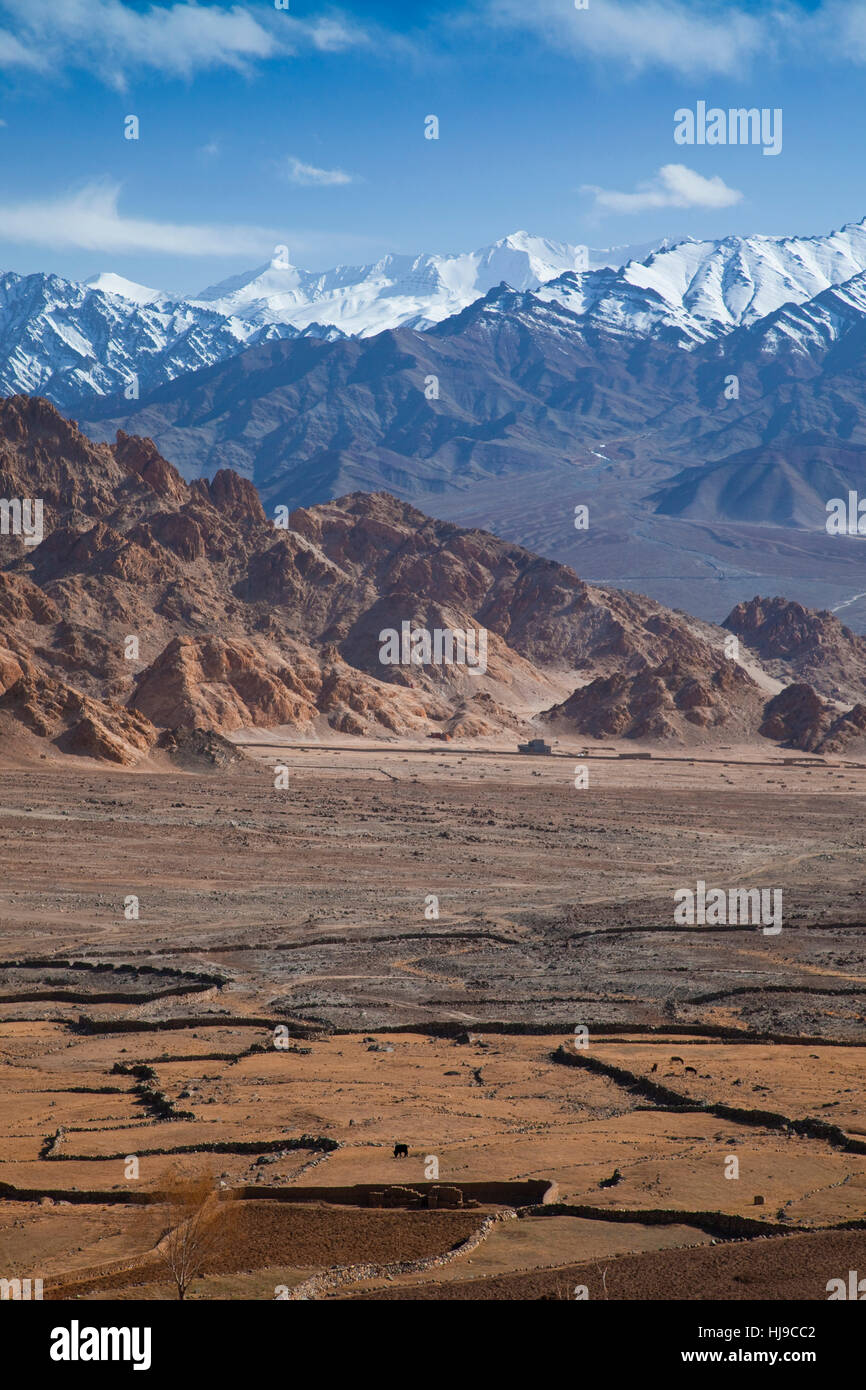 mountains, india, steppe, mountain range, scenery, countryside, nature ...