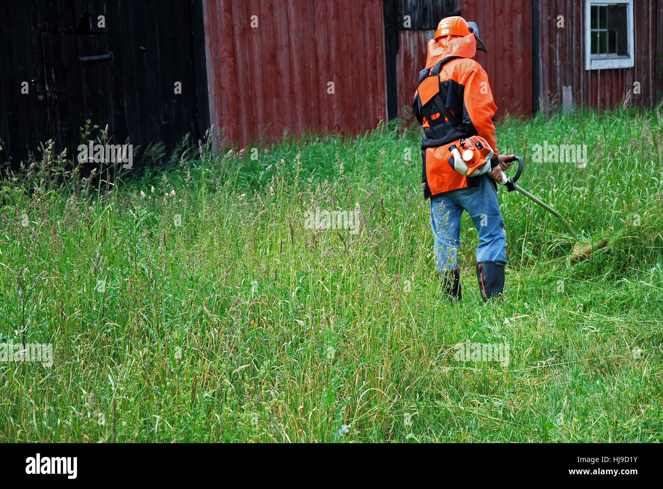Peasant man trimmer cut grass hi-res stock photography and images - Alamy