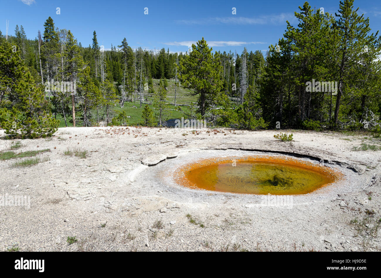 summer, summerly, geology, geyser, colors, colours, yellow, geothermal ...