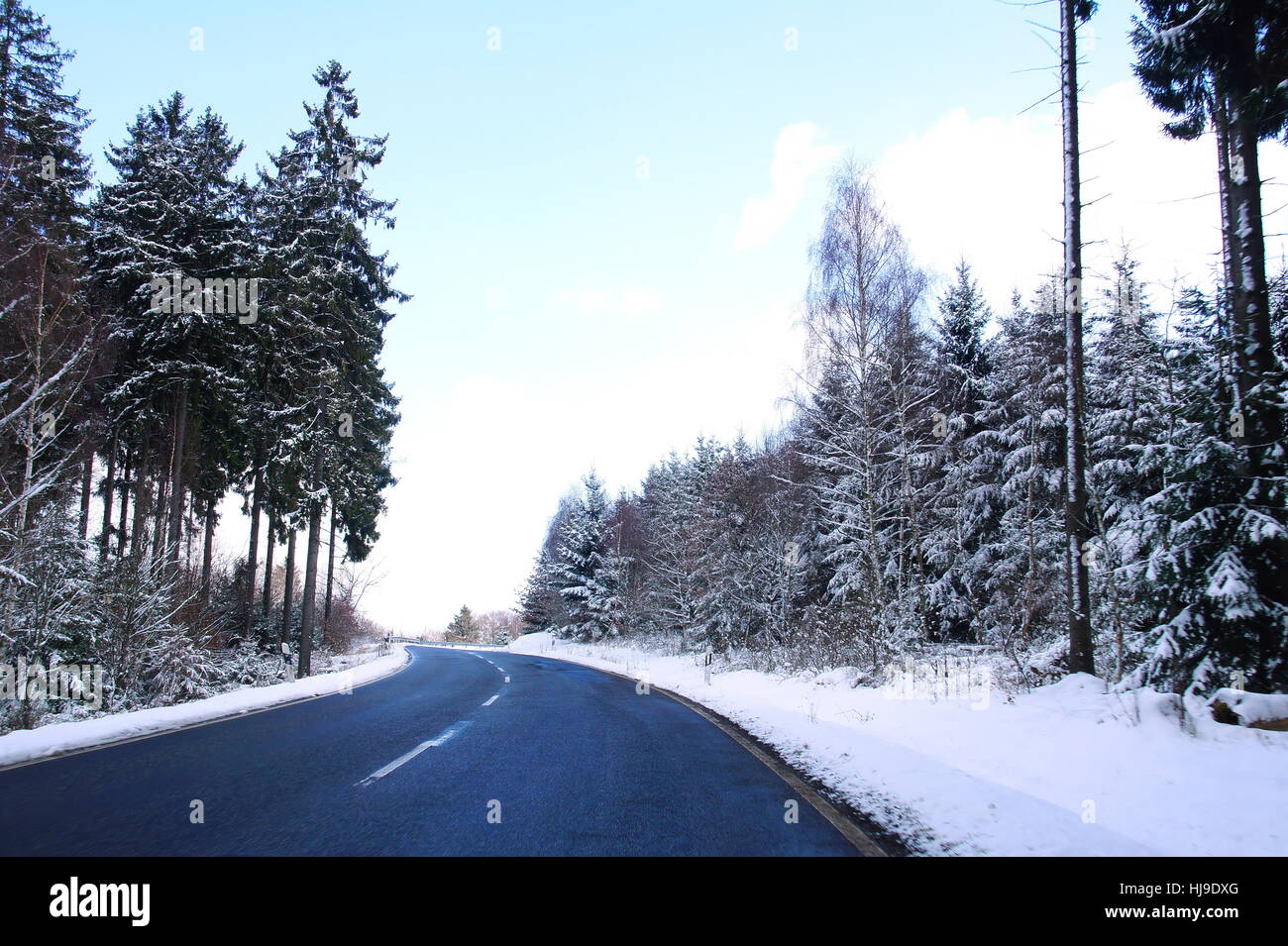 forest and road in winterrn Stock Photo - Alamy