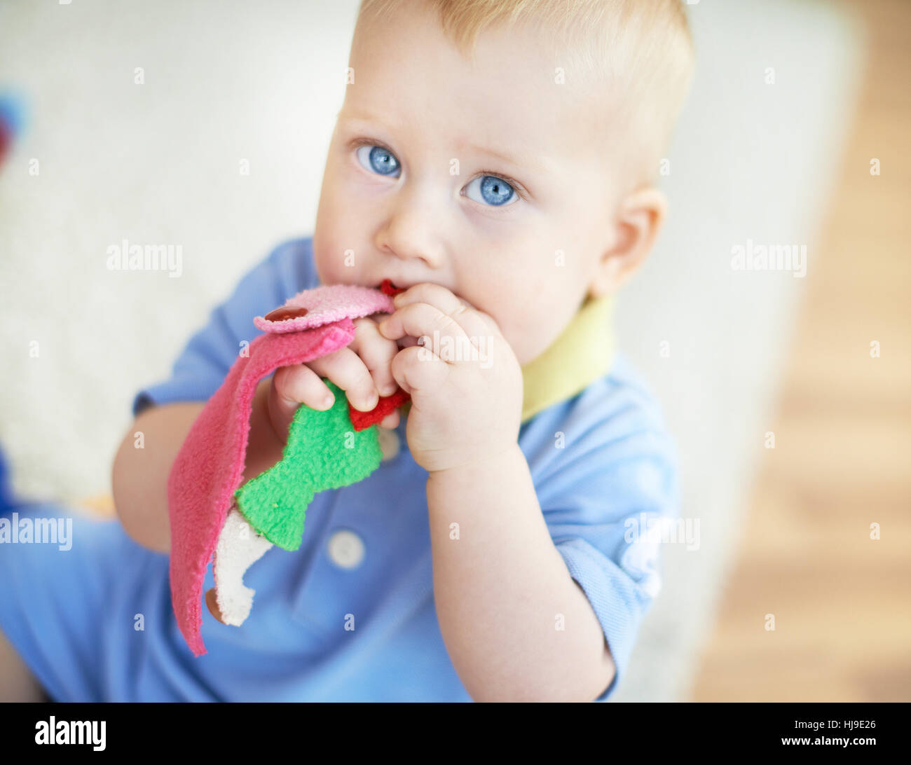 humans, human beings, people, folk, persons, human, human being, shine ...