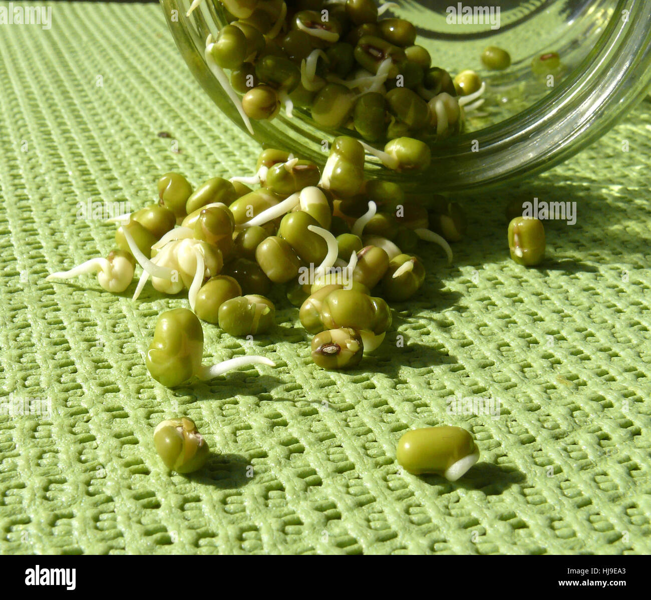 Sperm Joke High Resolution Stock Photography and Images - Alamy
