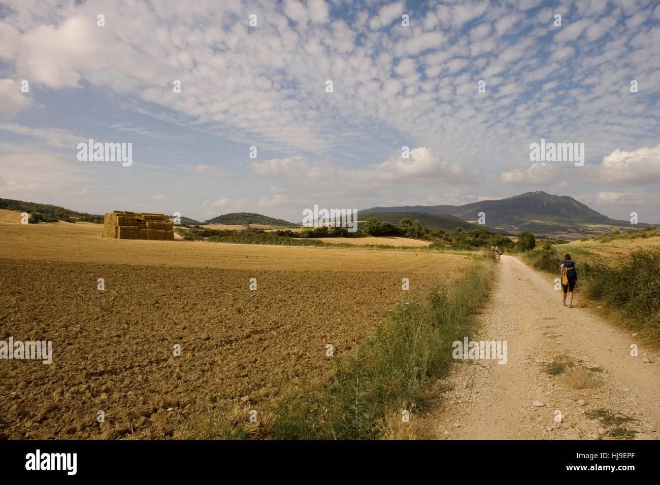 country, scenery, countryside, nature, life, exist, existence, living ...