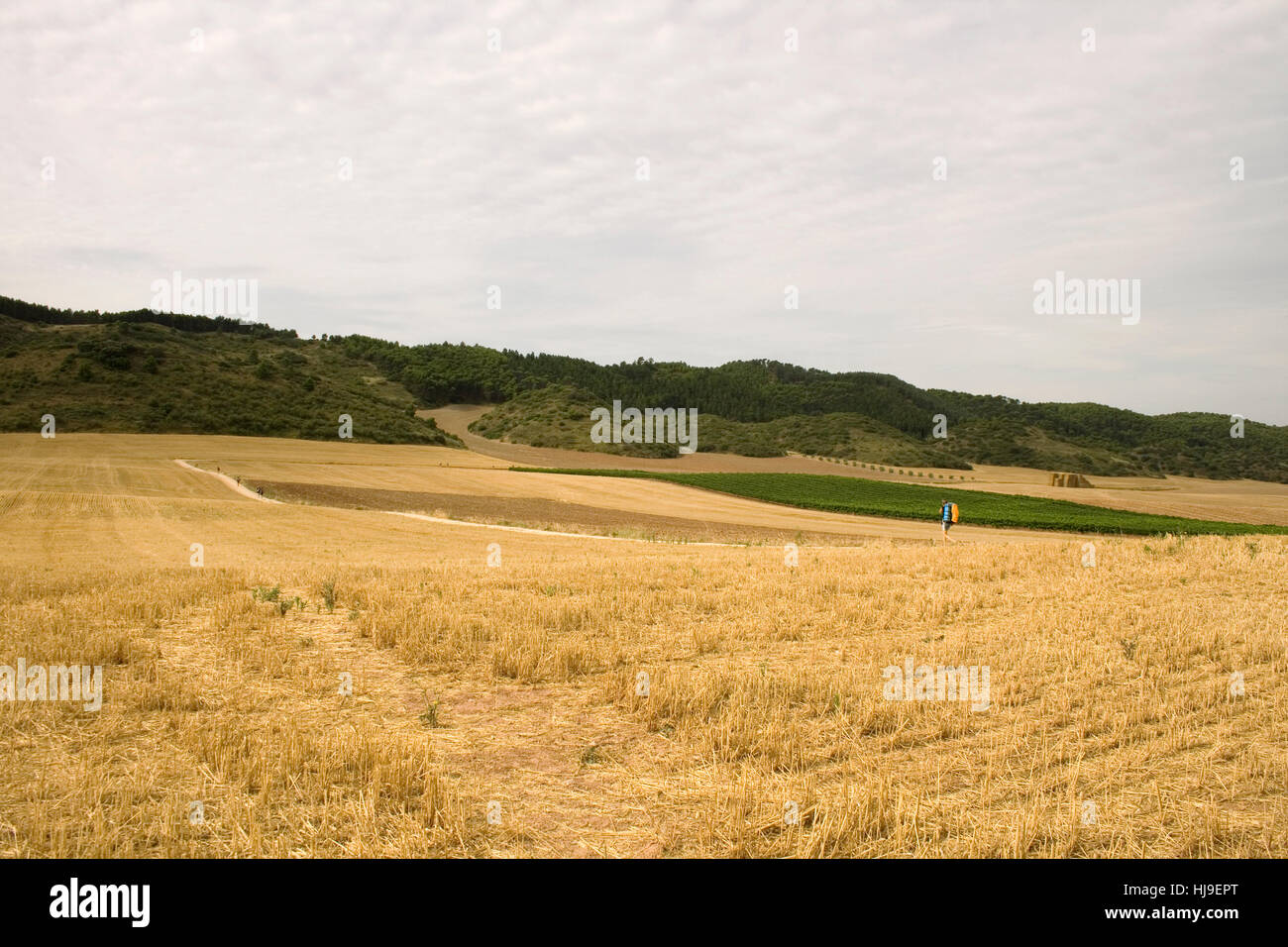country, scenery, countryside, nature, life, exist, existence, living ...