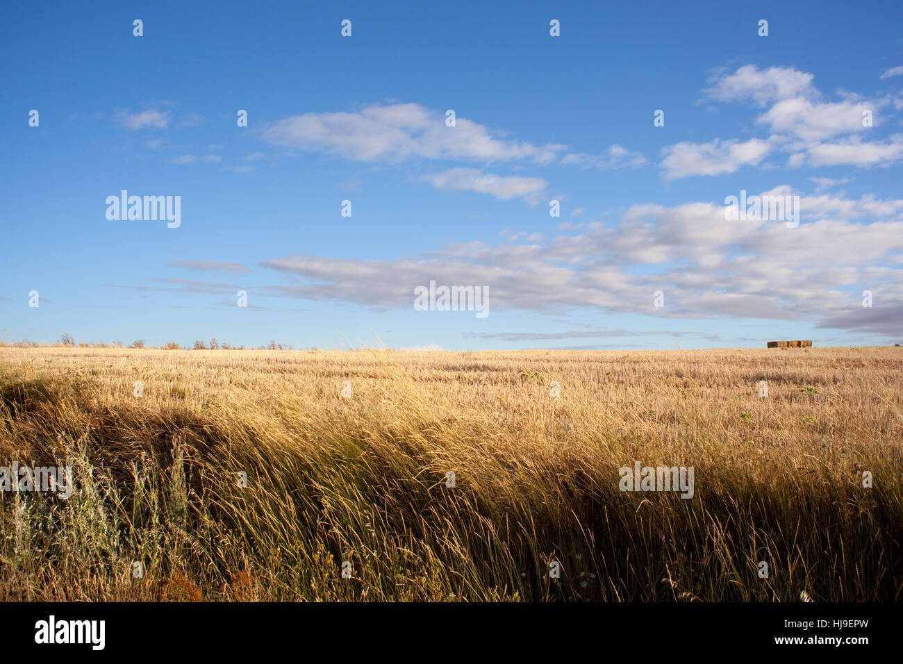 country, scenery, countryside, nature, life, exist, existence, living ...