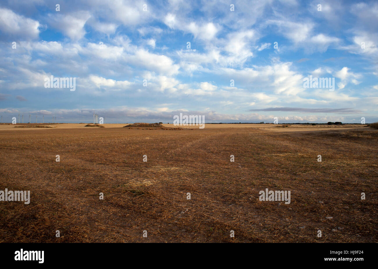 country, scenery, countryside, nature, sign, signal, agricultural, life ...