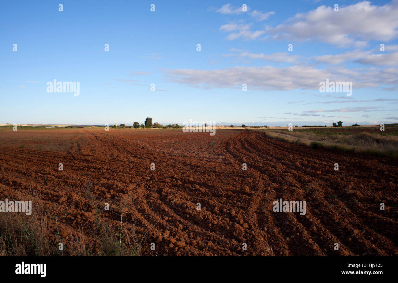 country, scenery, countryside, nature, life, exist, existence, living ...