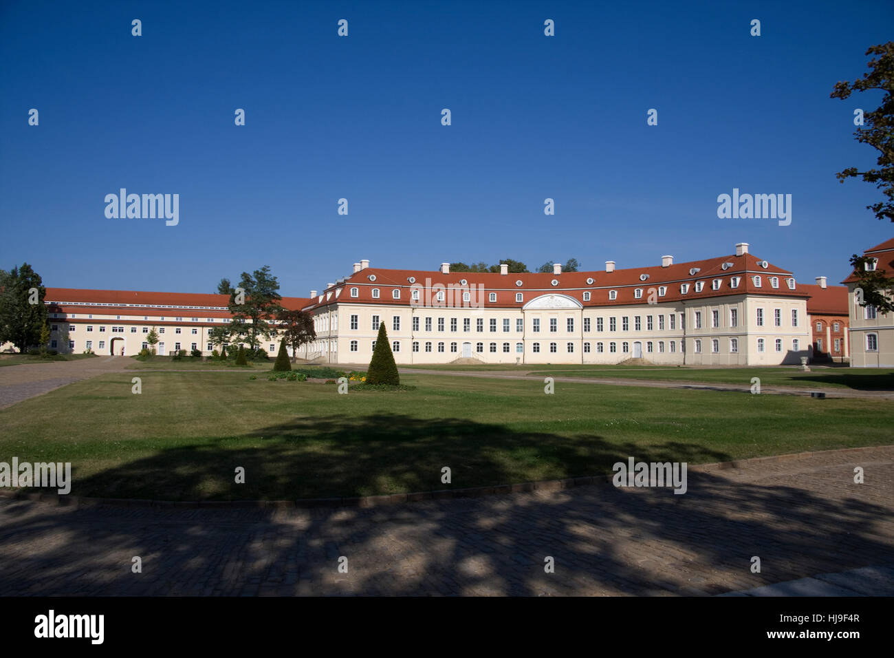 historical, tree, trunk, deciduous tree, sunbeams, branch, branchage ...