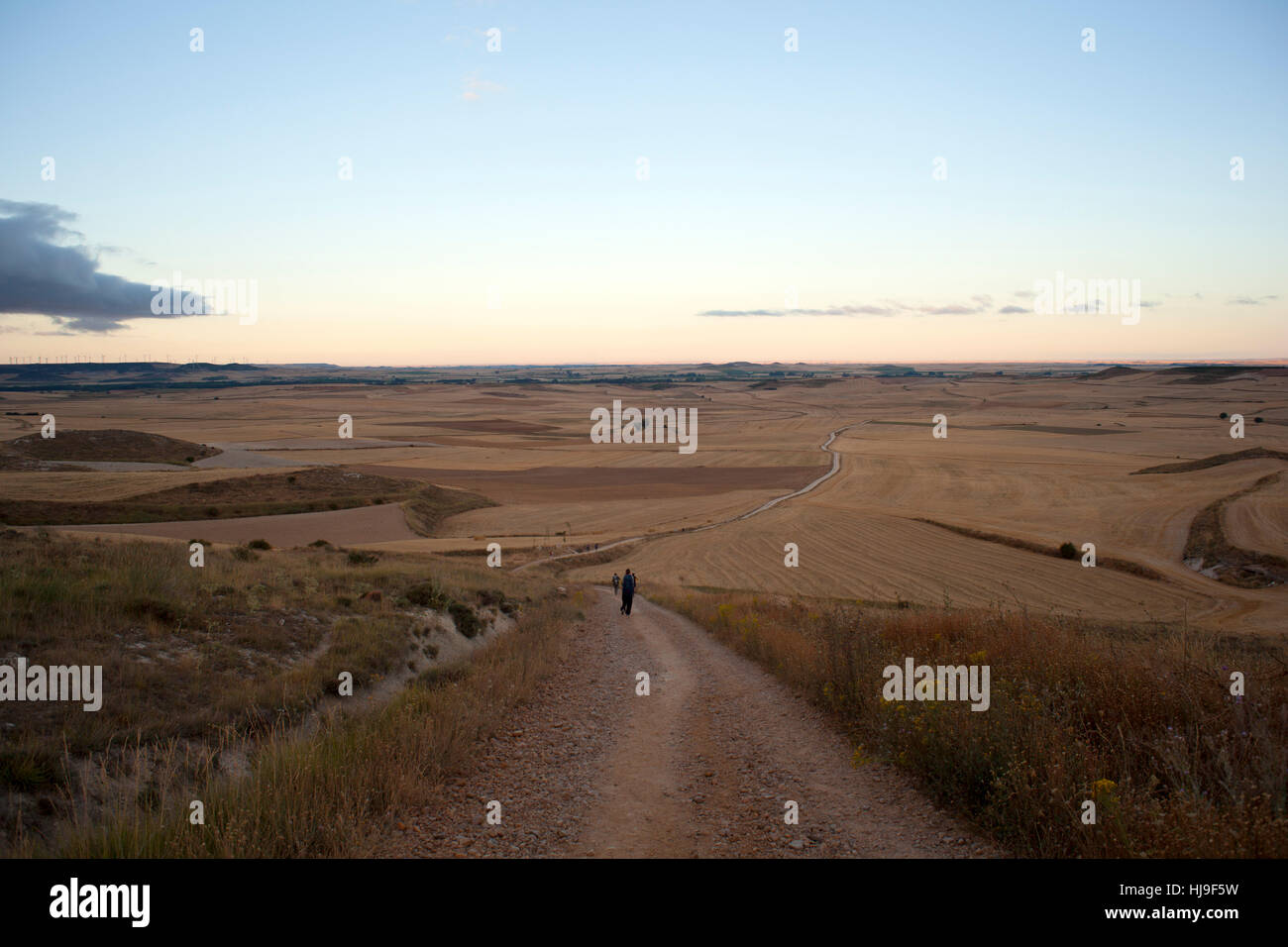 country, scenery, countryside, nature, agricultural, life, exist ...