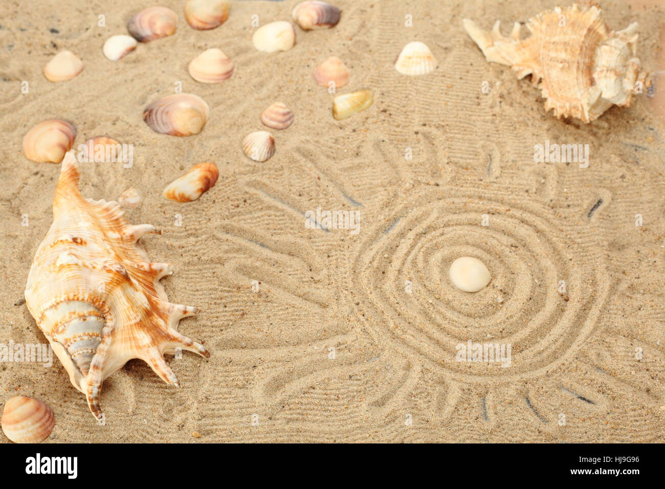 still life, shine, shines, bright, lucent, light, serene, luminous ...