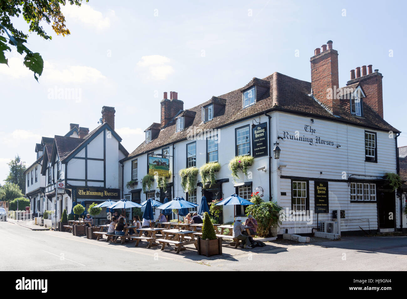 Running horses mickleham hi-res stock photography and images - Alamy