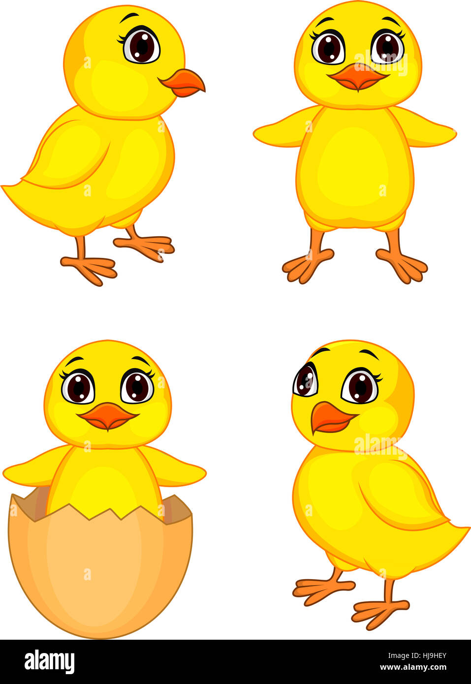 chick, farm animal, cartoon, hatch, maddening, pert, coquettish, cute ...