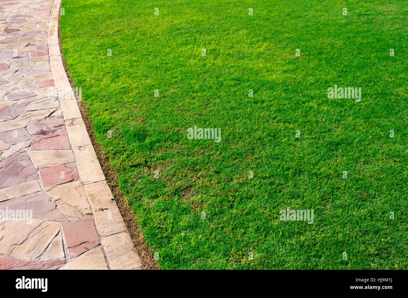 colour, closeup, new, field, flora, depth, depths, spring, bouncing ...