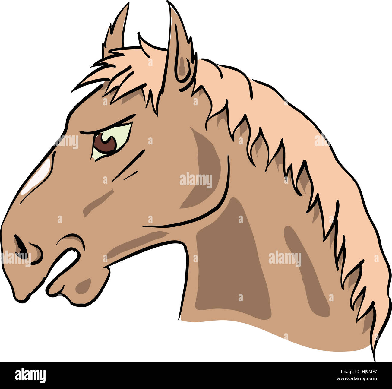 Black male riding horse hi-res stock photography and images - Alamy