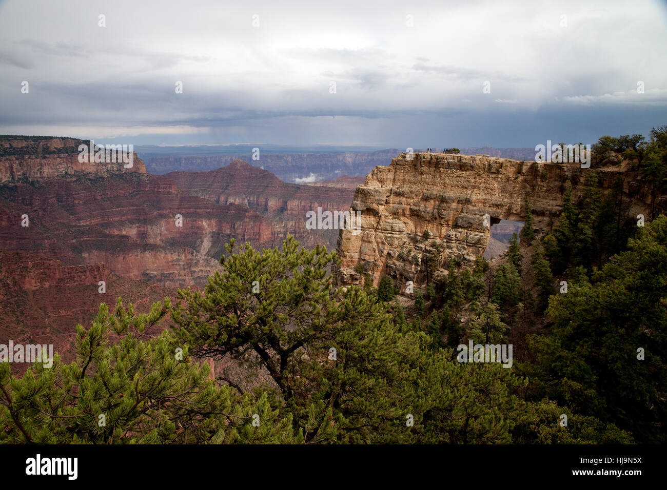 ravine, arizona, natural wonder, blue, big, large, enormous, extreme ...