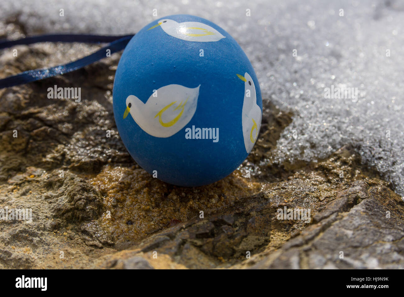 Snow goose egg hi-res stock photography and images - Alamy