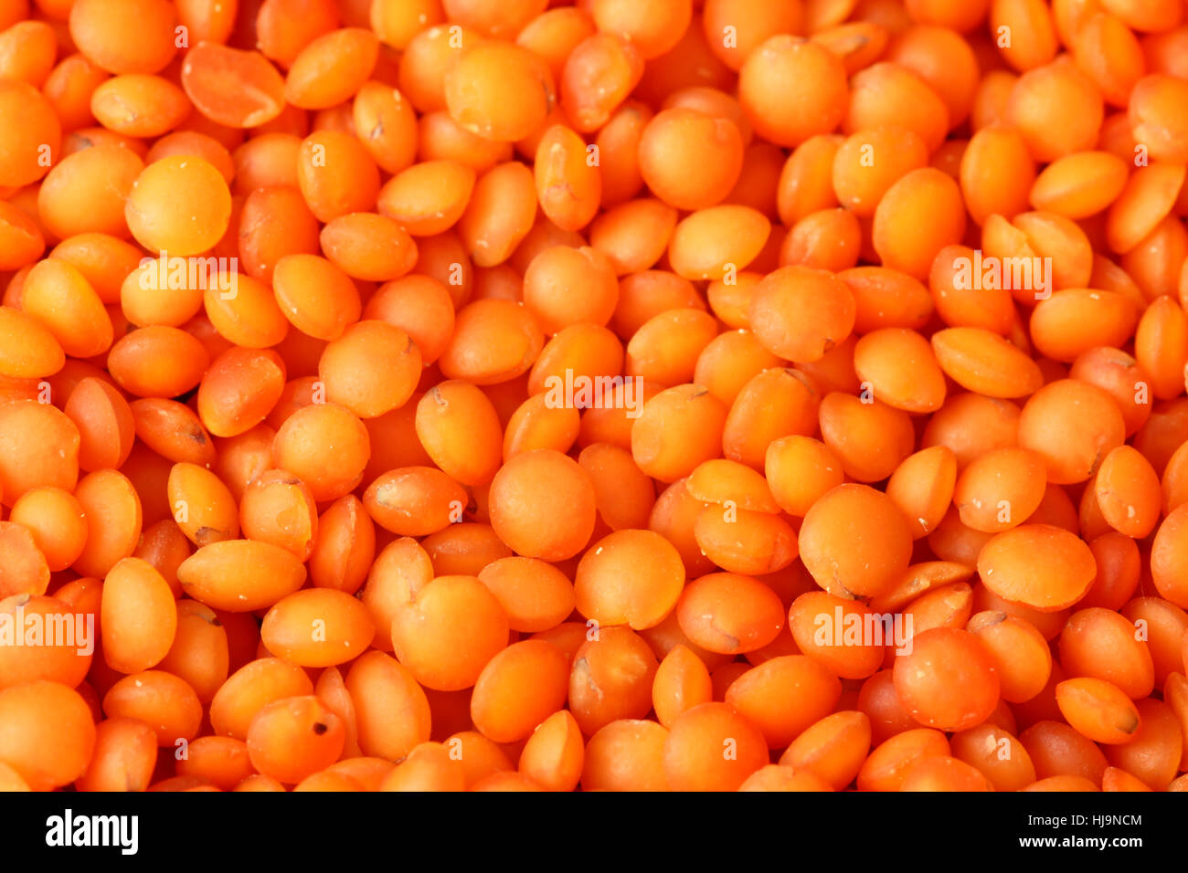 food, aliment, closeup, lenses, orange, leguminous plants, albuminous ...