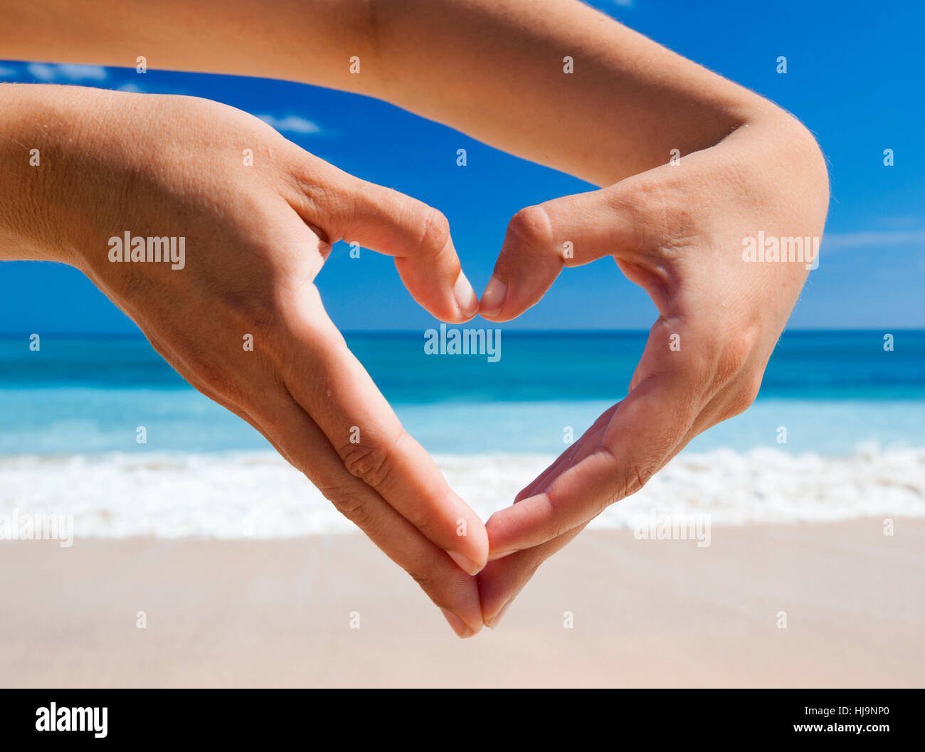 hand, hands, model, design, project, concept, plan, draft, shape ...