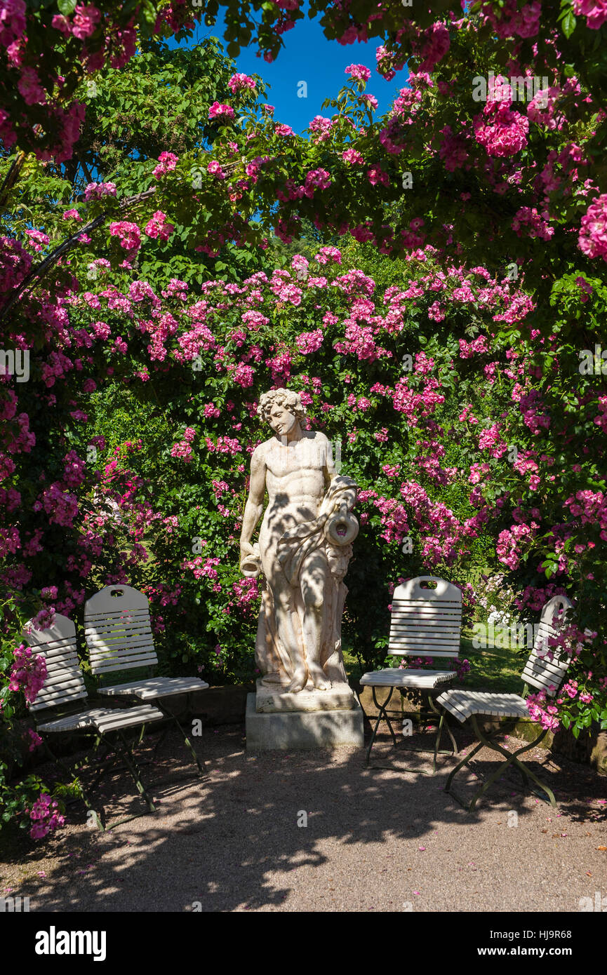 park, garden, flower, plant, statue, bloom, blossom, flourish ...