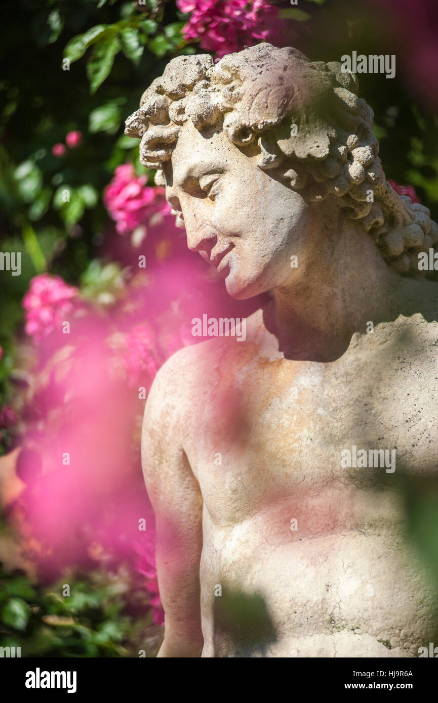 Baden rosarium hi-res stock photography and images - Alamy