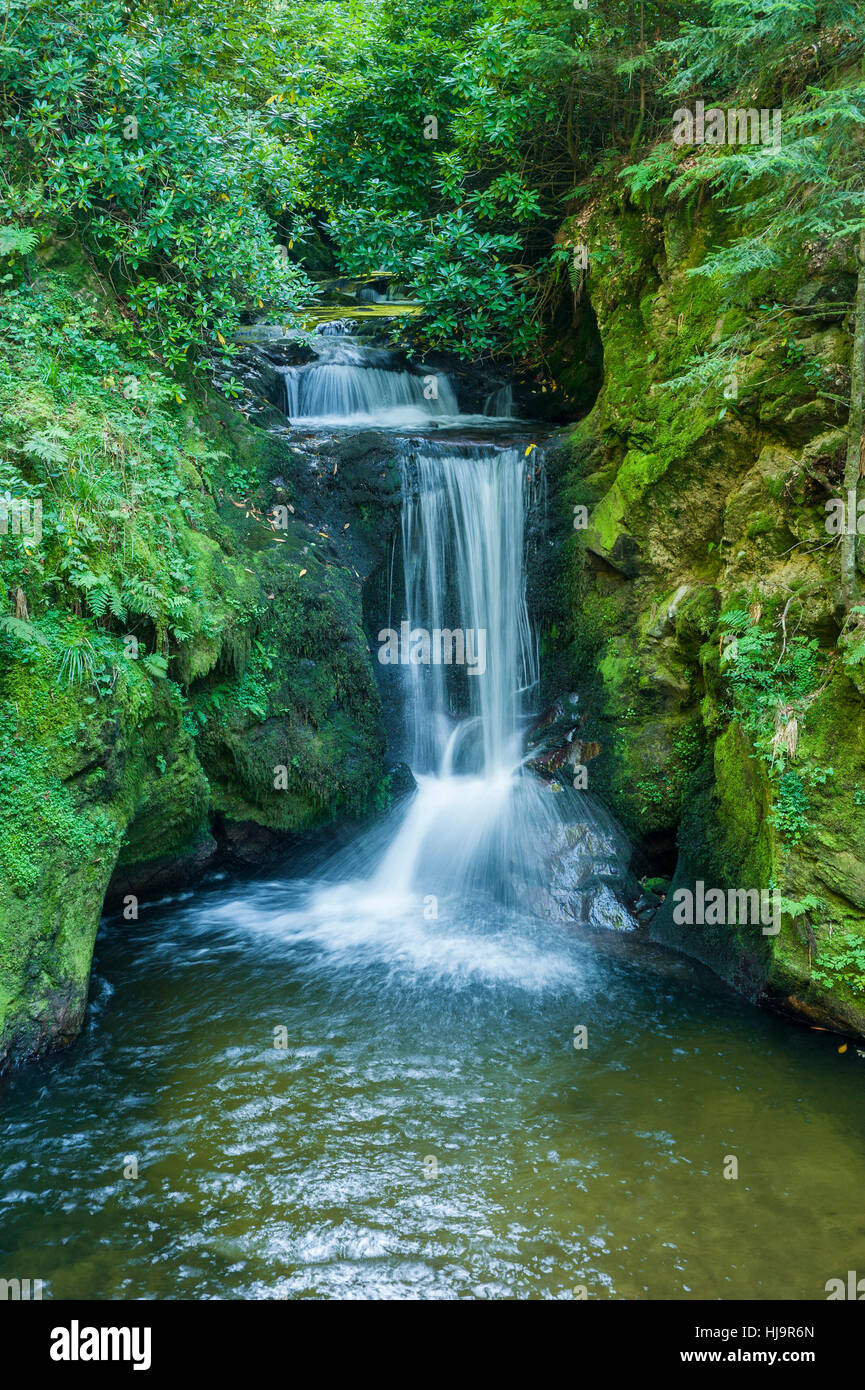 waters, europe, stream, waterfall, black forest, waterfalls, brooks ...
