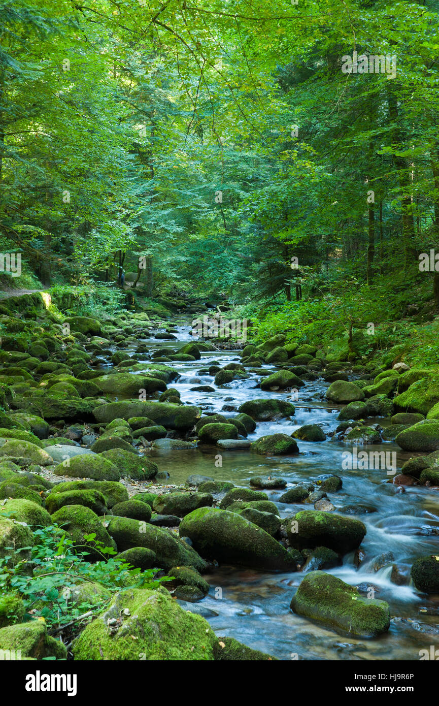 waters, europe, stream, waterfall, black forest, brooks, germany ...