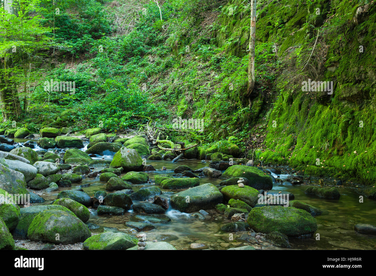 waters, europe, stream, waterfall, black forest, brooks, germany ...