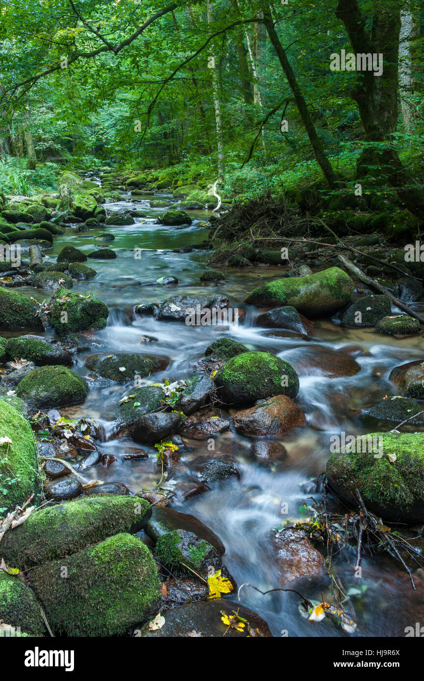 waters, europe, stream, waterfall, black forest, brooks, germany ...