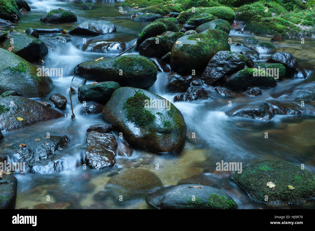 waters, europe, stream, waterfall, black forest, brooks, germany ...