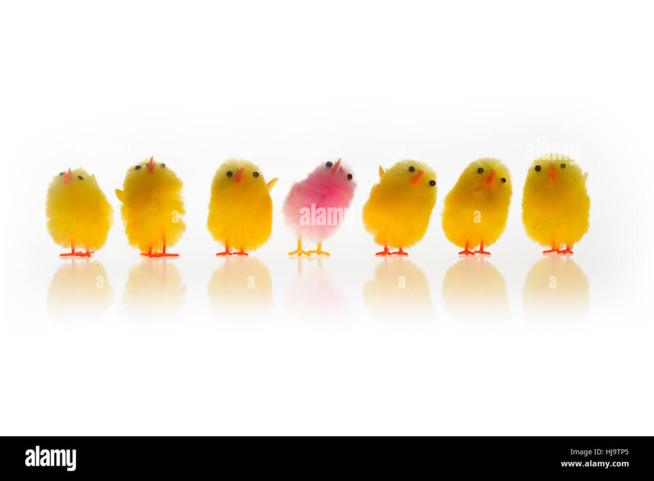 friendship, religion, culture, isolated, composition, model, design ...