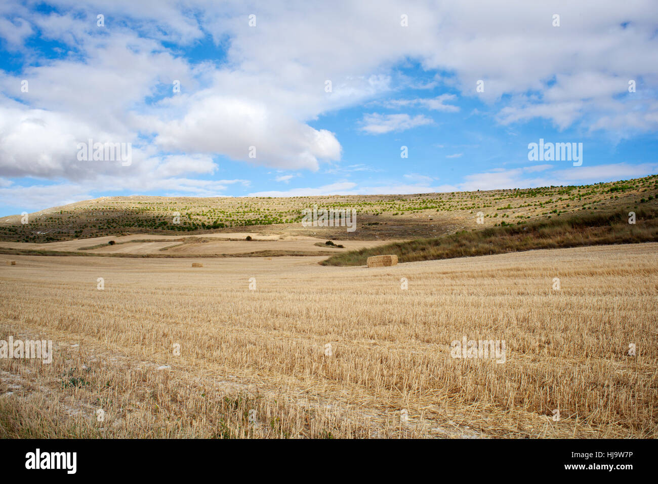 country, scenery, countryside, nature, beautiful, beauteously, nice ...