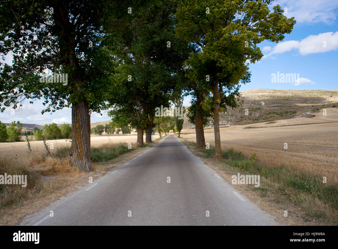 Country road summer side view hi-res stock photography and images - Alamy