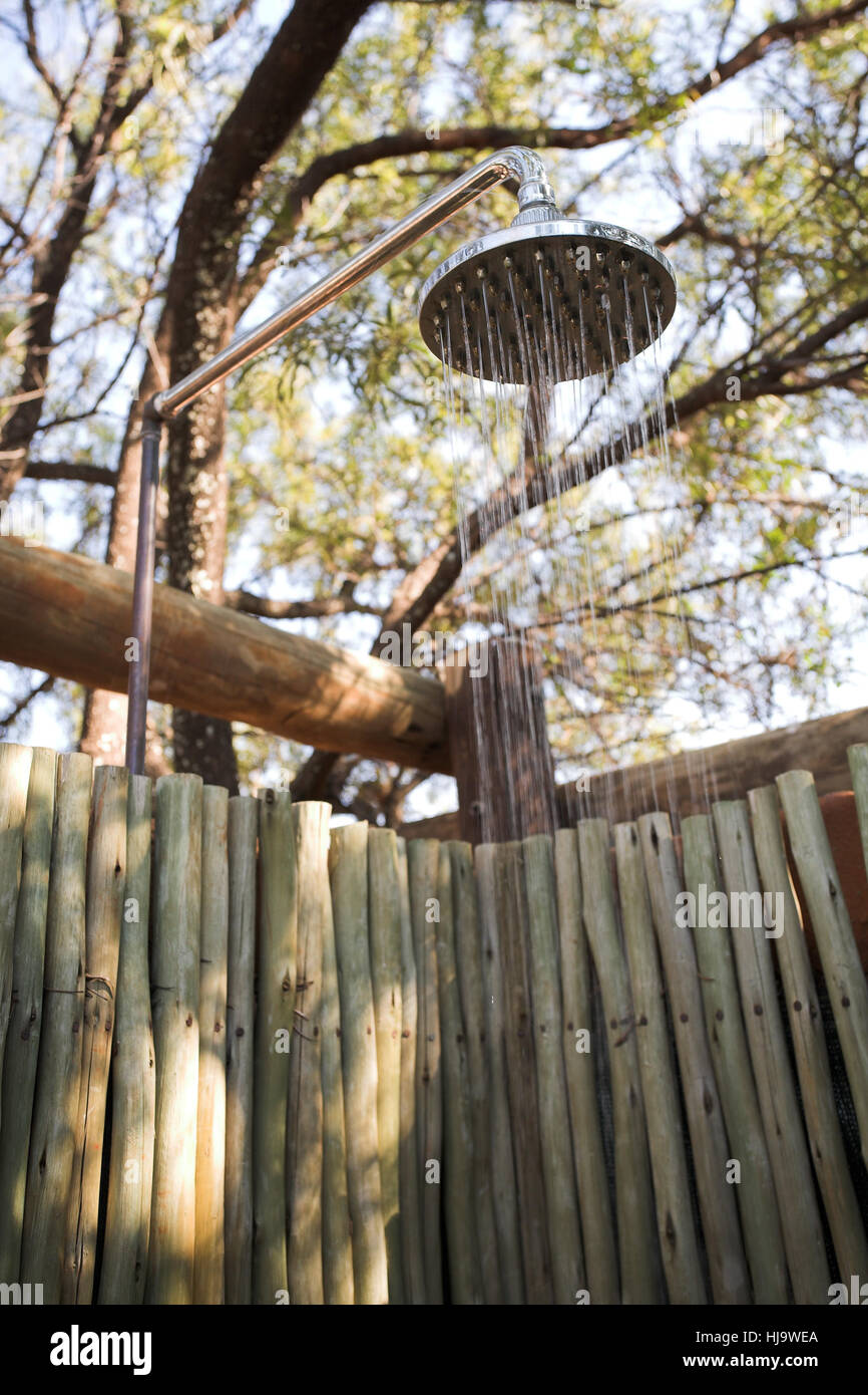 tree, trees, wood, leaves, summer, summerly, outdoor, shower, wet, warm ...