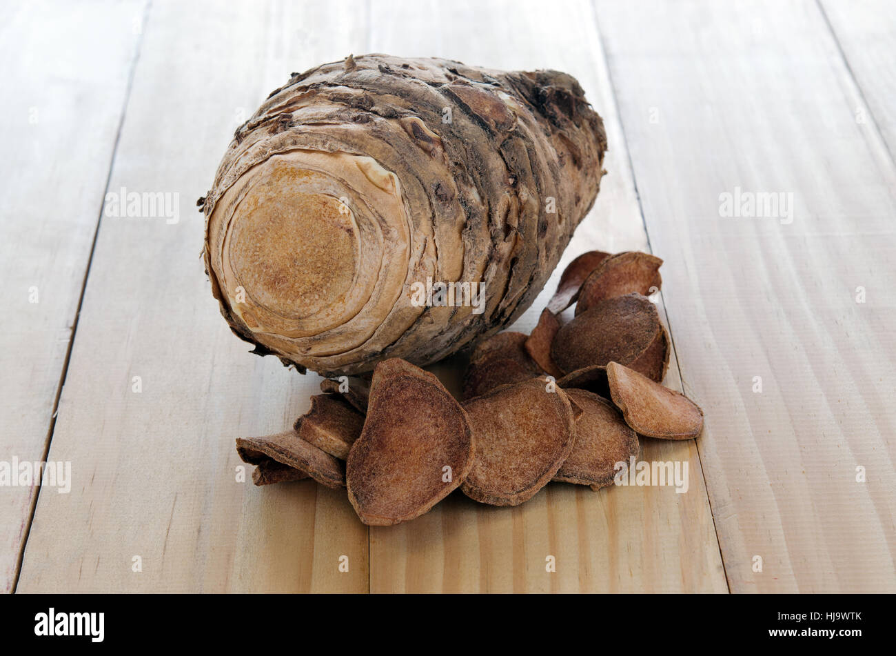 Curcuma comosa Roxb. or Curcuma latifolia Roscoe roots which is part of ...