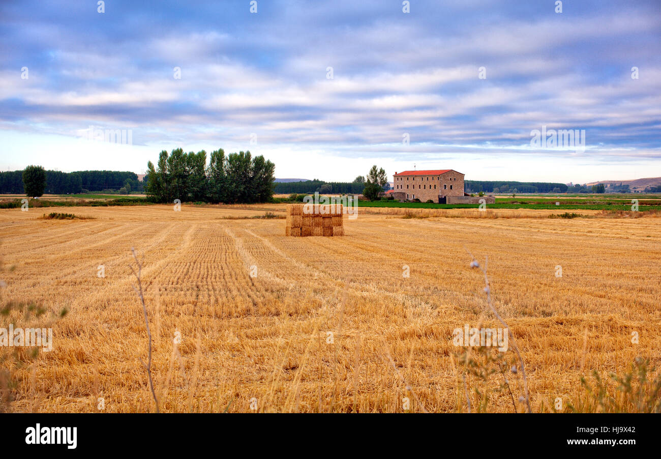 country, scenery, countryside, nature, life, exist, existence, living ...