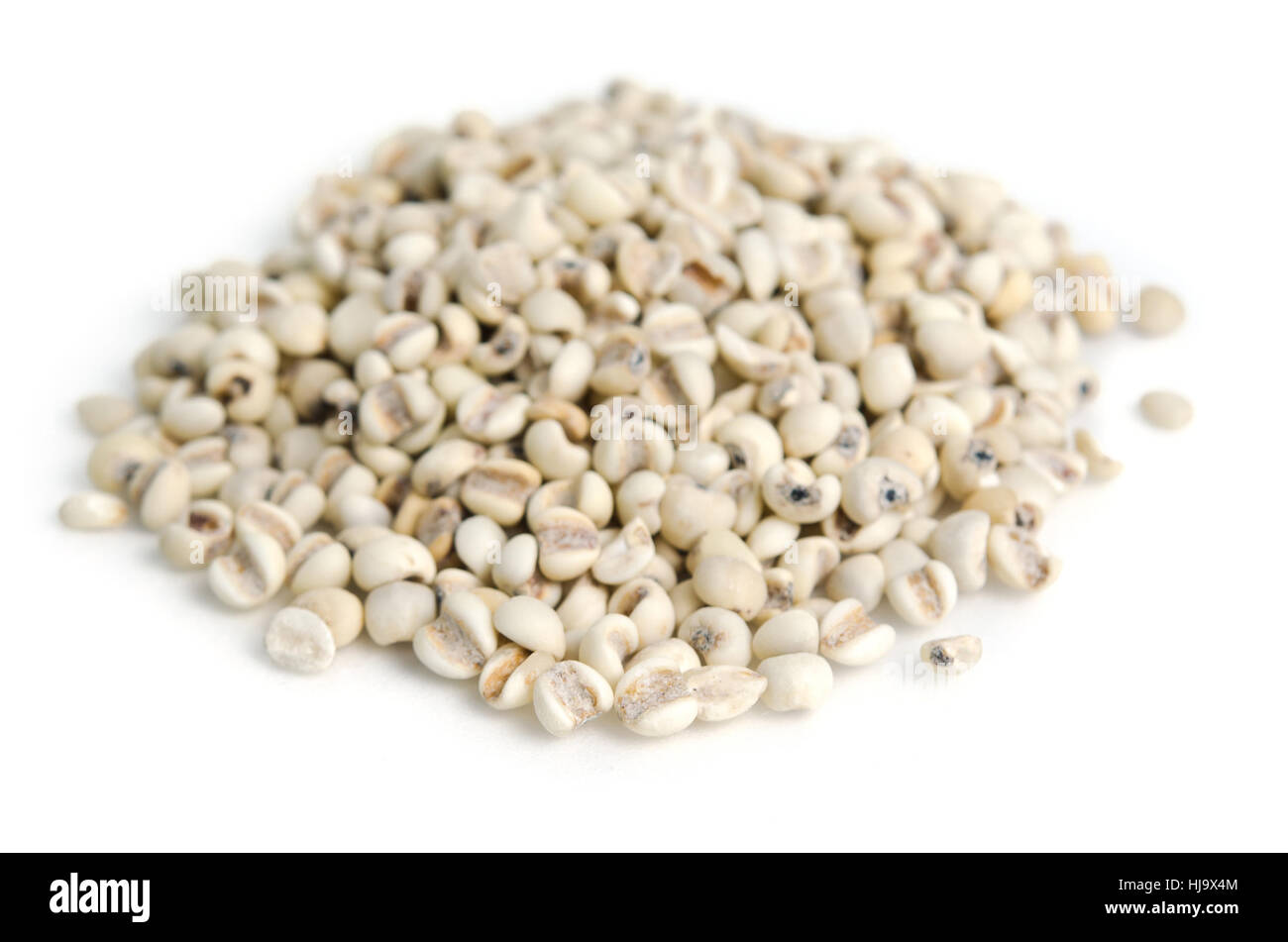 Millet rice bean or millet grains (Also called as pearl rice in India ...