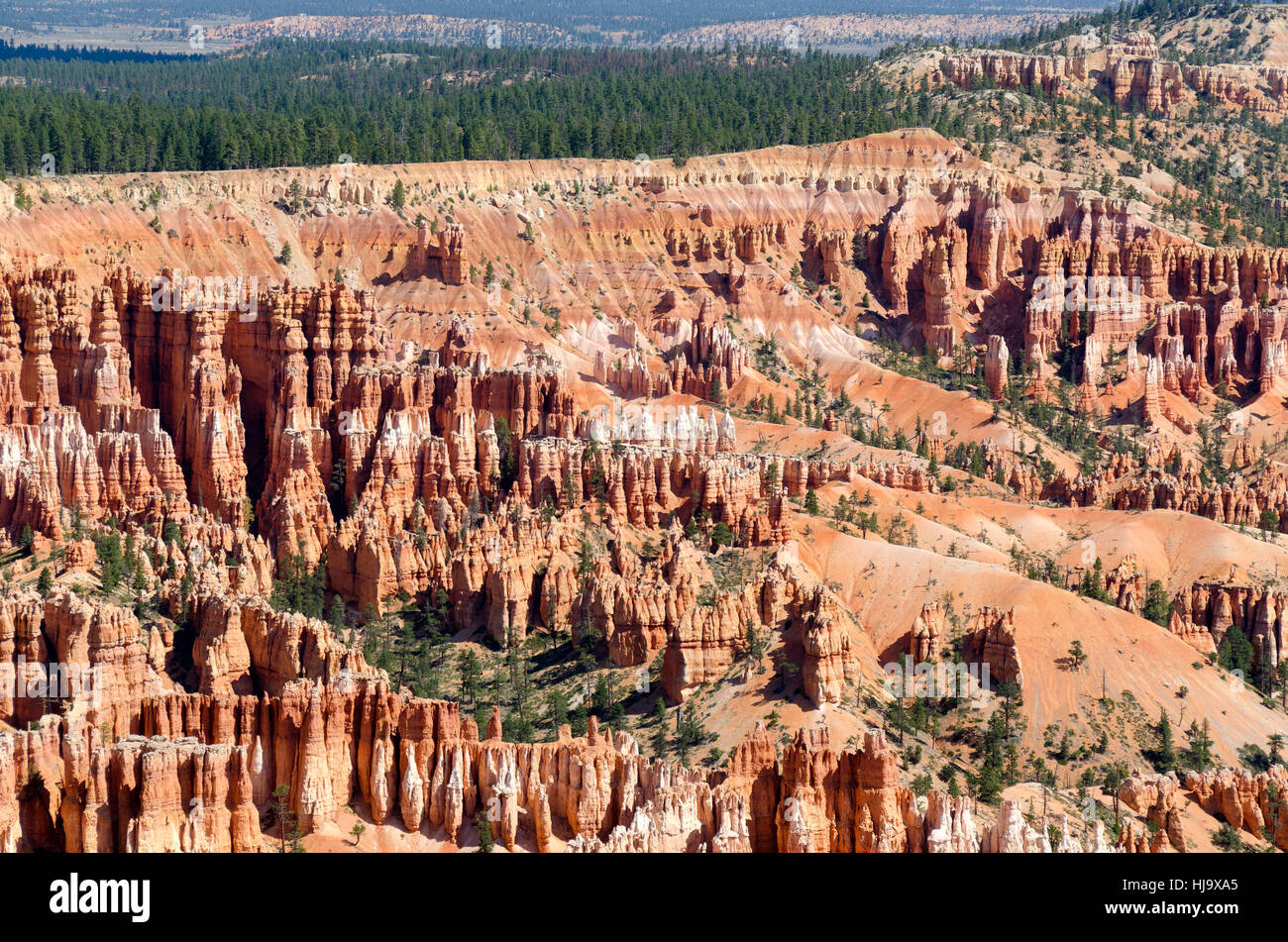 summer, summerly, erosion, Canyon, geology, firmament, sky, colors ...