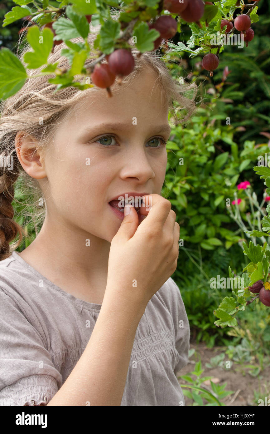 garden, gardens, berry, gooseberries, young, younger, blond, girl ...