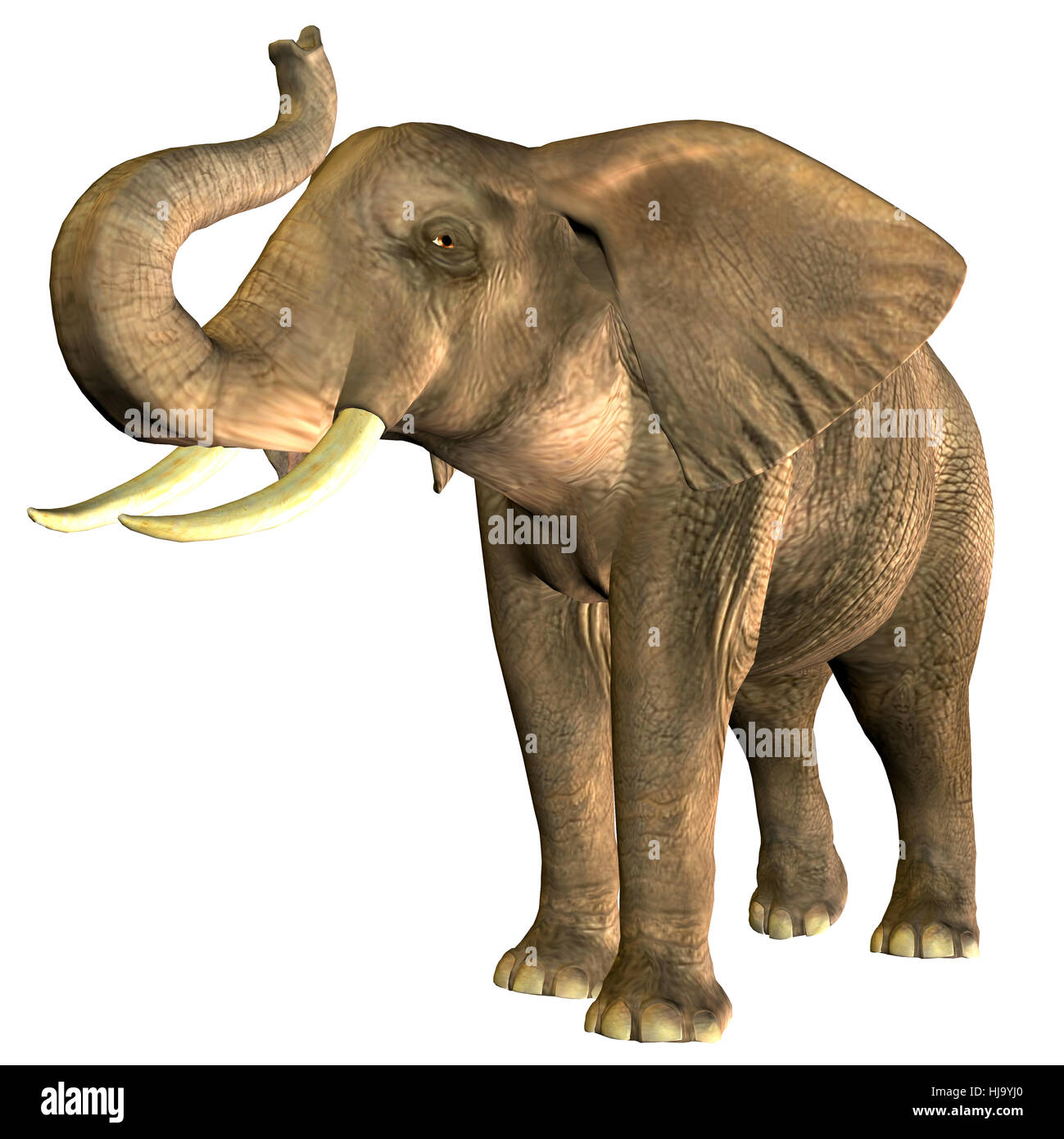 animal, africa, elephant, ivory, illustration, animal, mammal, africa ...