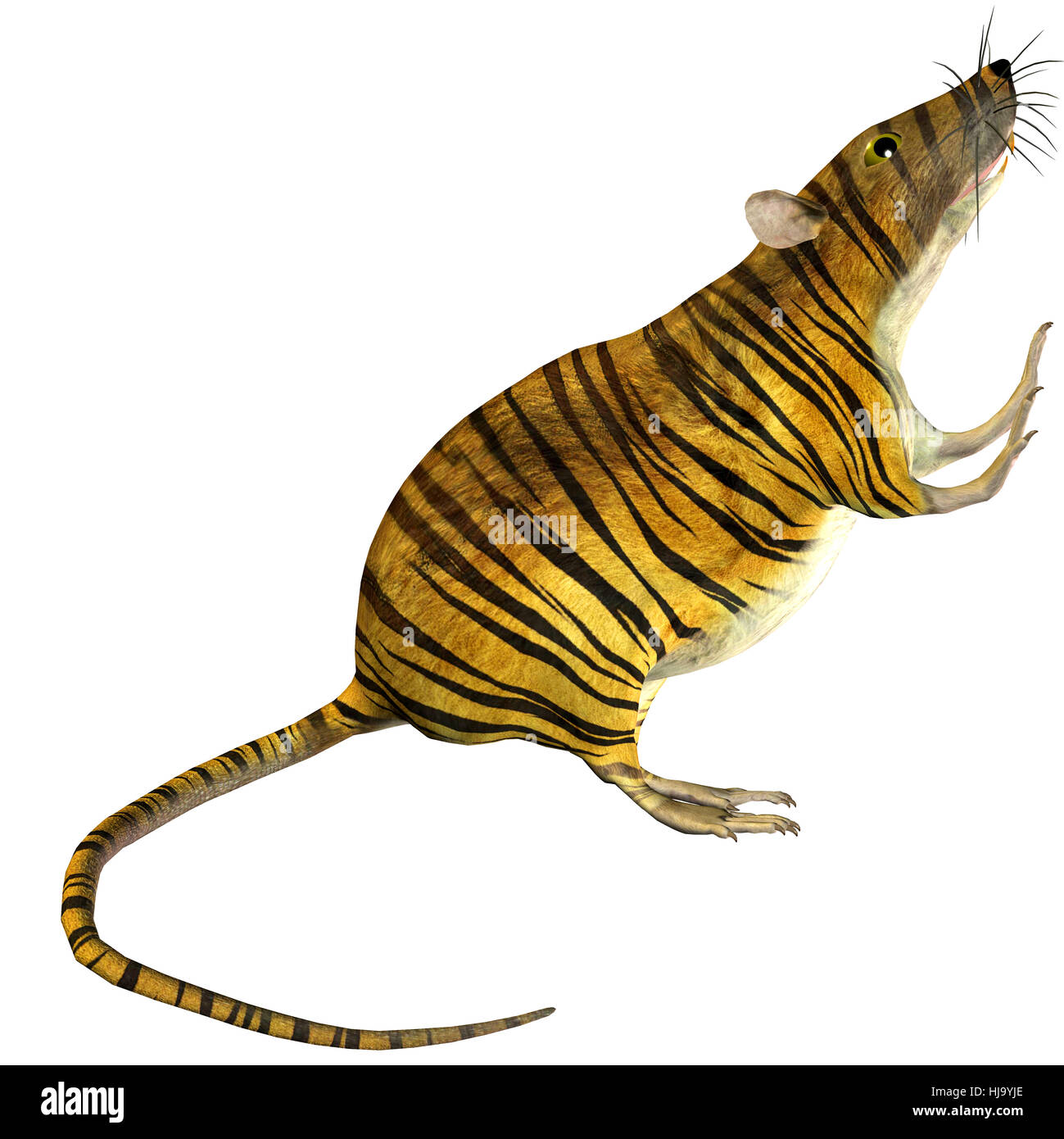 rodent, fantasy, illustration, varmint, rat, optional, science, animal ...