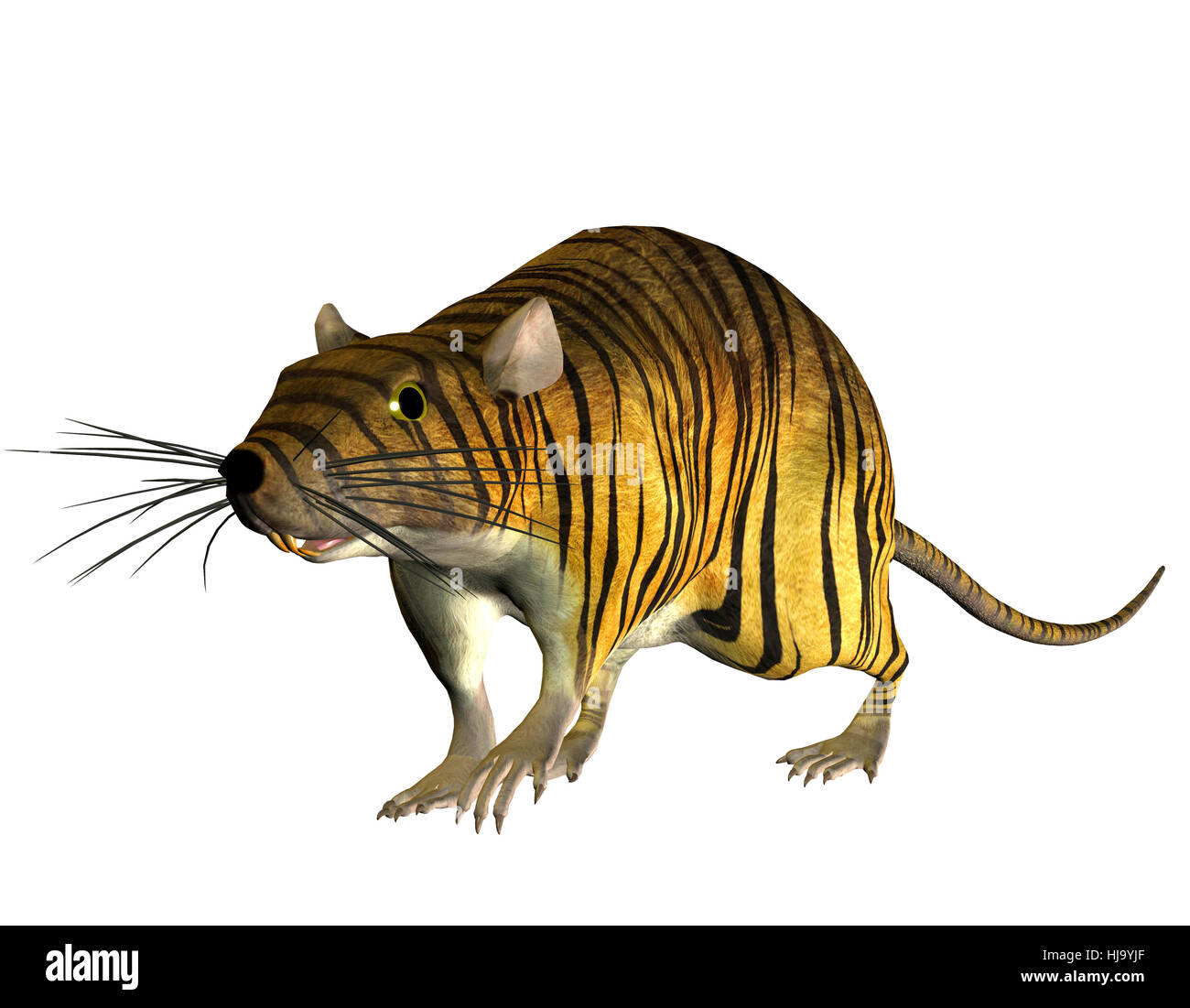 rodent, fantasy, illustration, varmint, rat, optional, science, animal ...