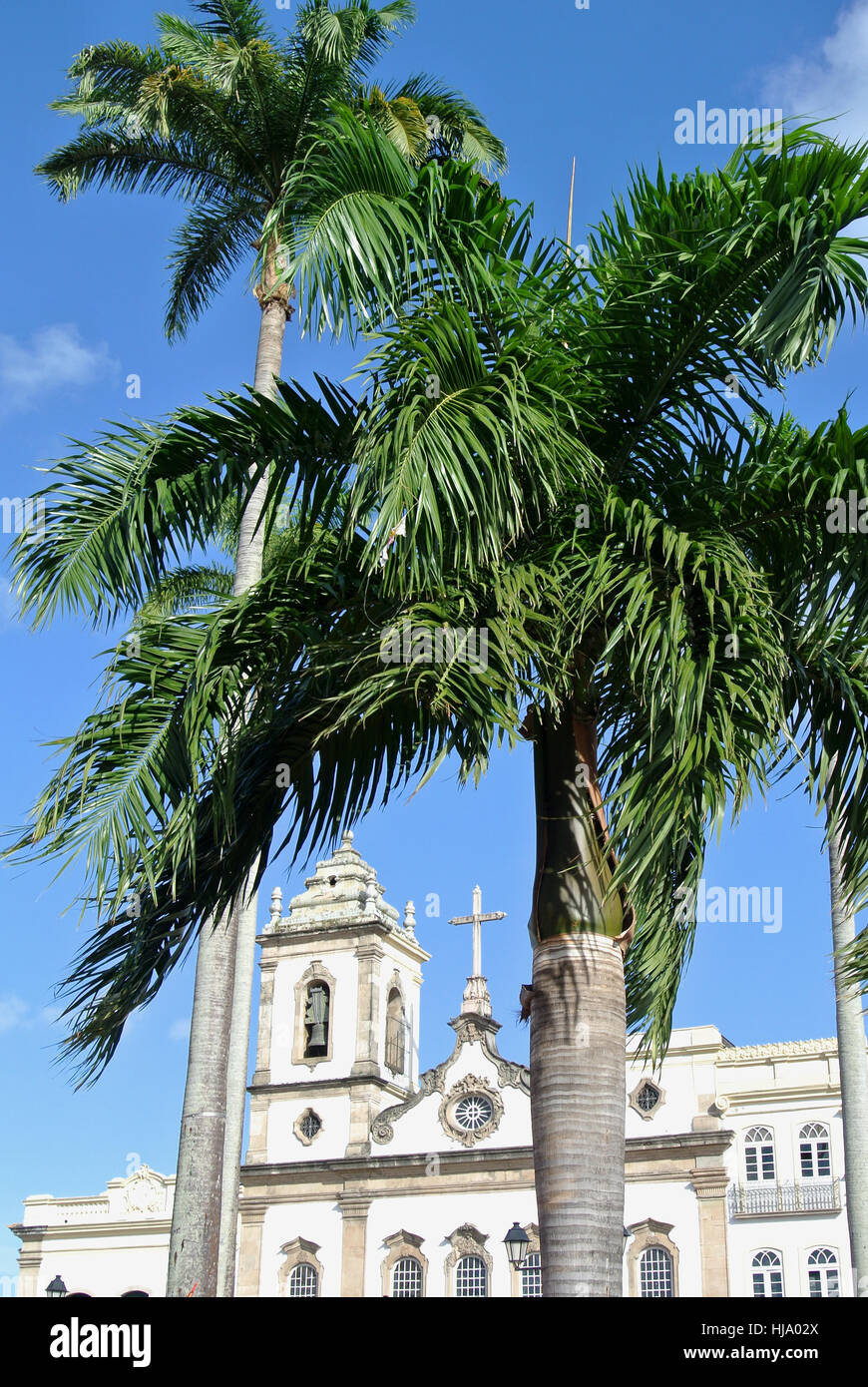 church, brazil, church, old town, palm tree, latin america, brazil ...