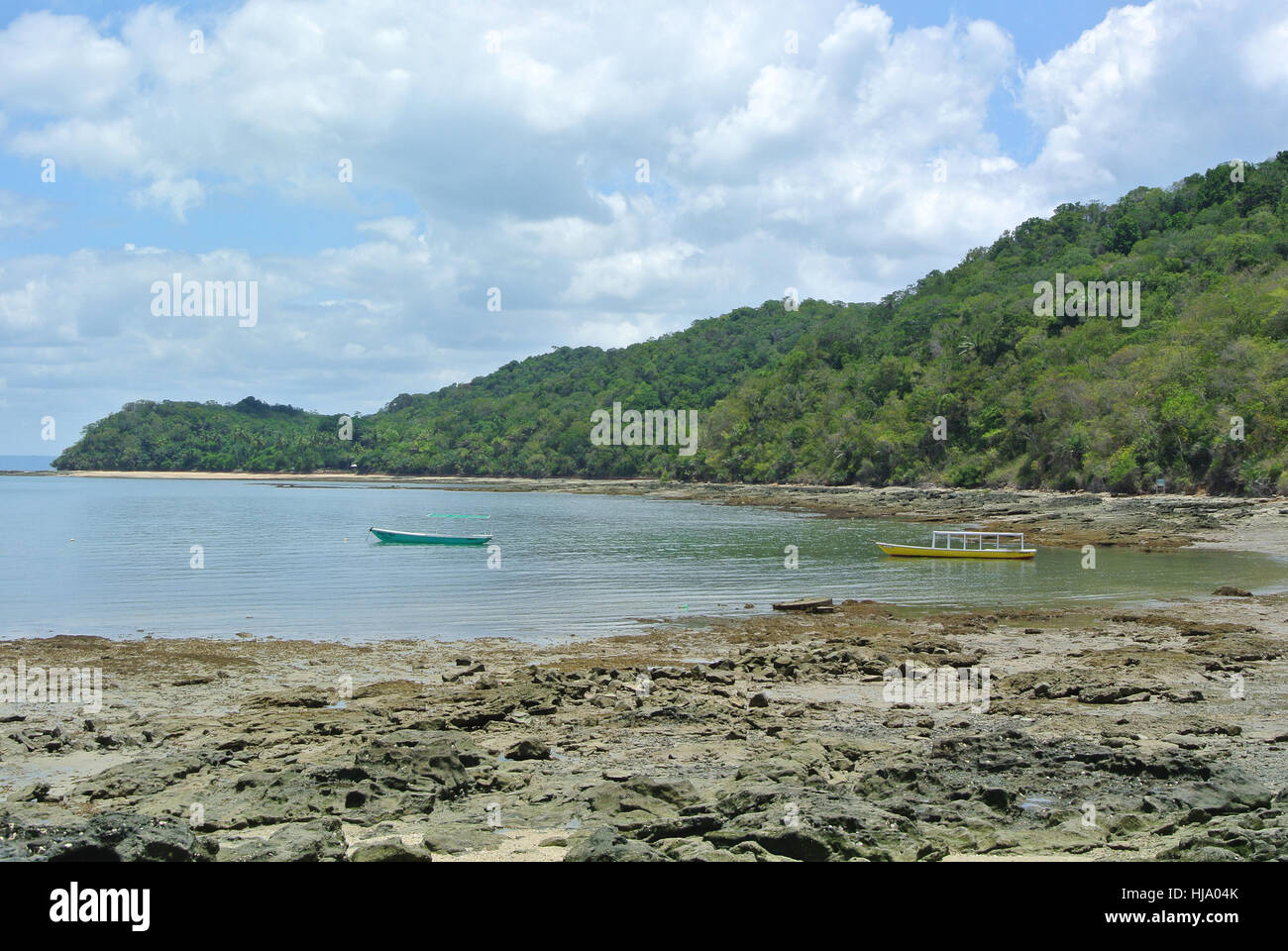 coast, brazil, salt water, sea, ocean, water, isle, island, beach ...