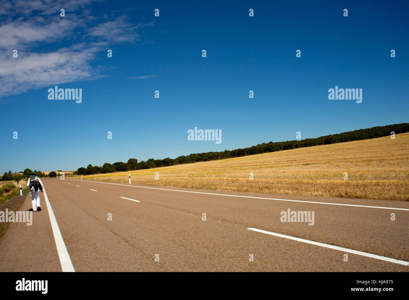 walk, go, going, walking, travel, pilgrim, road, street, scenery ...